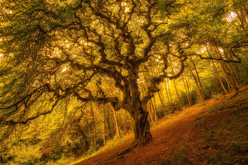 Todor Tilev Breathtaking Photography